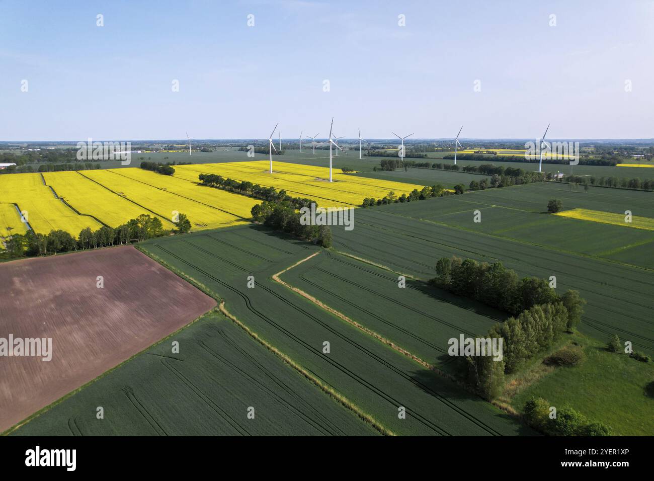 Aerial view Wind turbine on grassy yellow farm canola field against ...