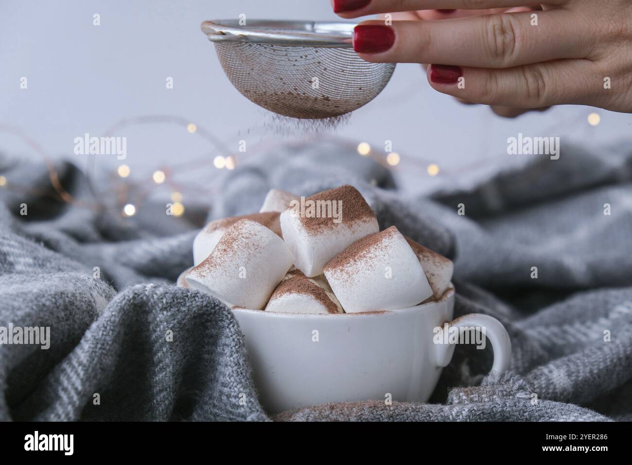 Adding cacao powder on top of hot chocolate with marshmallows in white ...