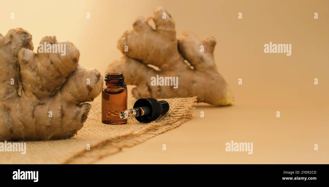 Glass pipette of essential ginger oil, ginger root on beige background ...