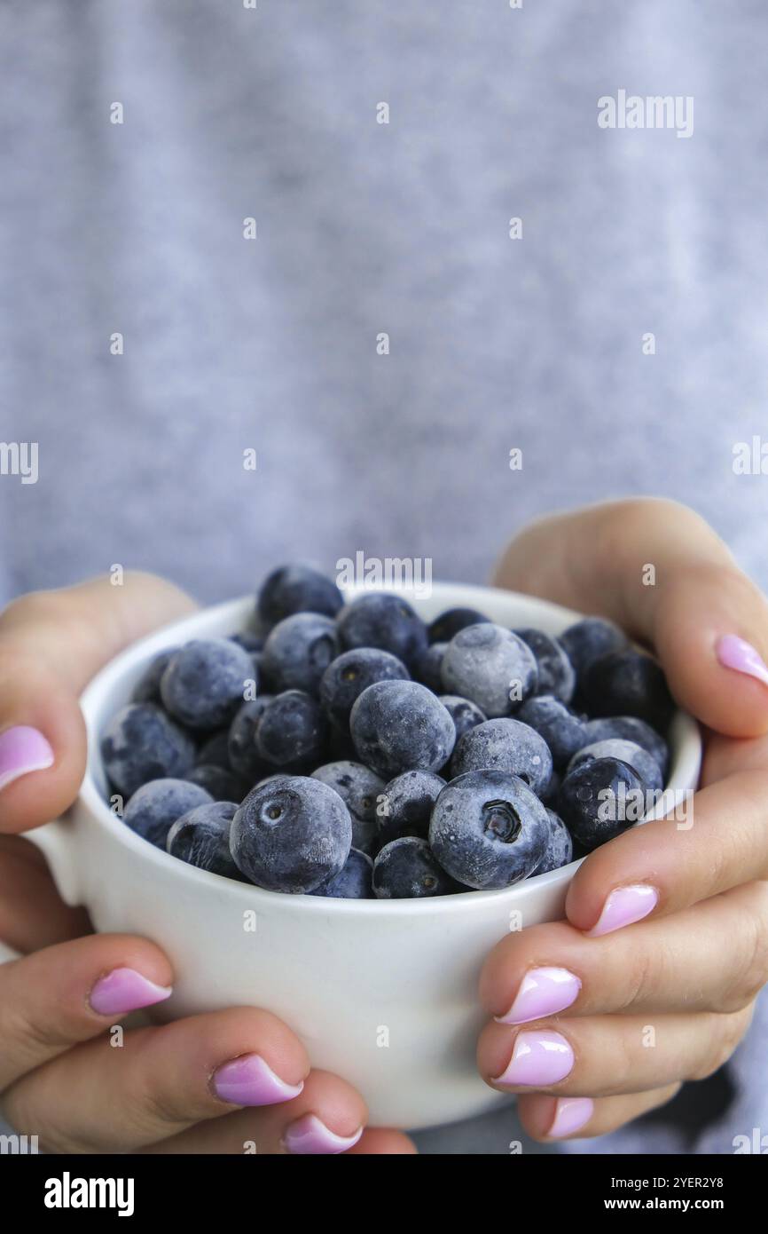 Female hand collects blueberries in hi-res stock photography and images ...