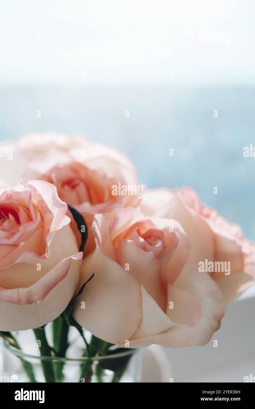 Abstract flower bouquets in vases decorative bouquet hi-res stock ...