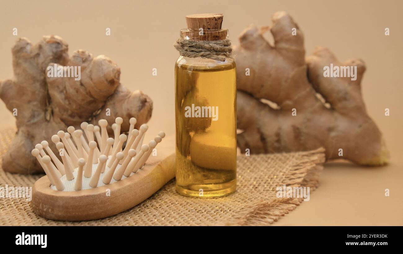 Glass bottle of essential ginger oil, ginger root on beige background ...