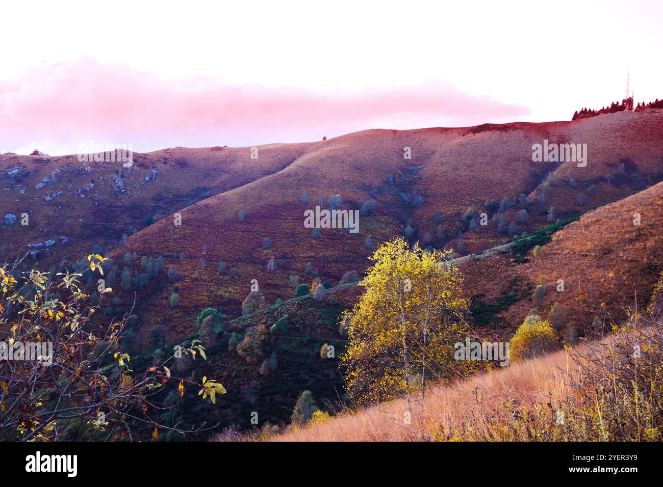 Landscape warm colors hi-res stock photography and images - Alamy