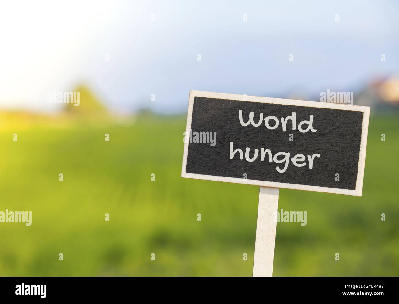 Wooden information label sign with text WORLD HUNGER against defocused ...