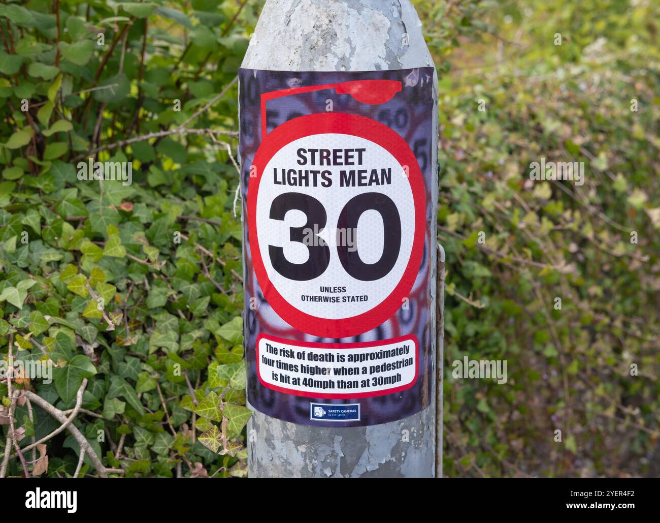 Road safety information on a lamp post near Dunoon, Argyll and Bute ...