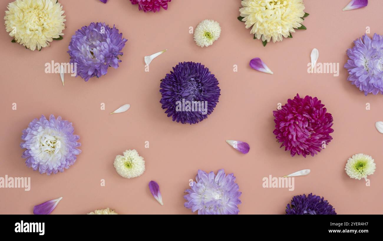 Blooms on plain backdrop hi-res stock photography and images - Alamy