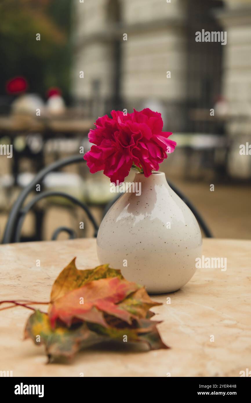 Street cafe with empty tables outdoor. Vases of flowers on tables and ...