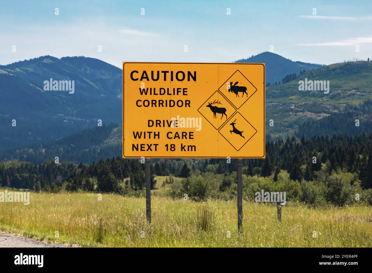 Big yellow warning road Sign, caution wildlife corridor drive with care ...