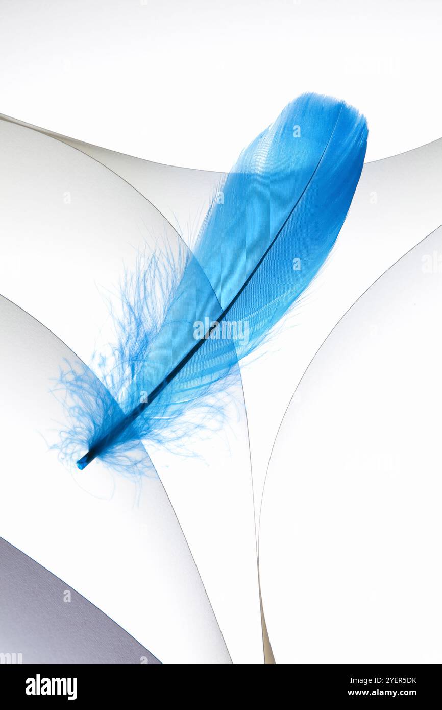 Soft blue wrapping hi-res stock photography and images - Alamy