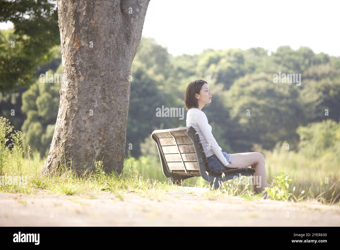 One person bench hi-res stock photography and images - Alamy