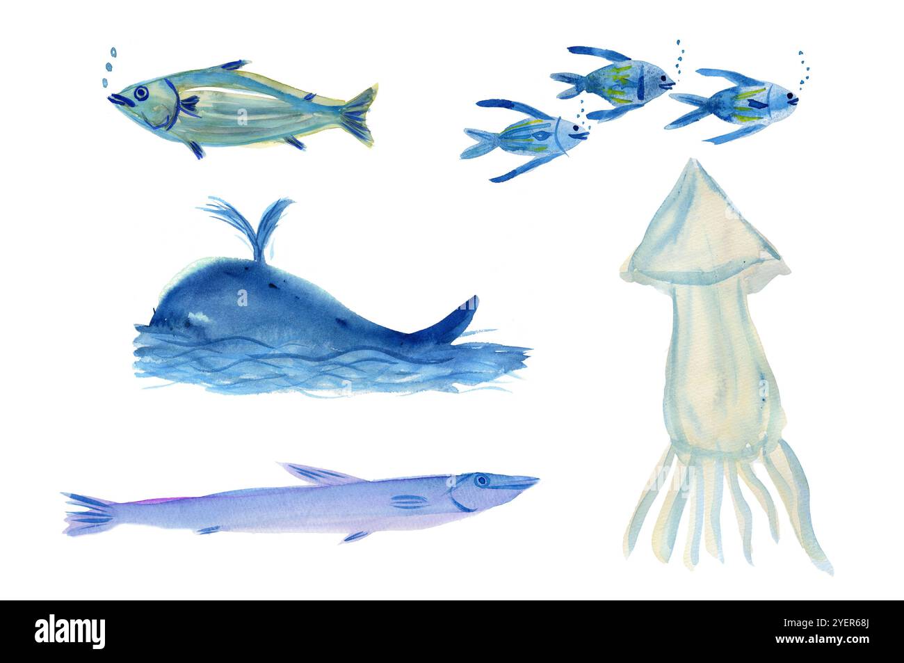 Sea creature illustrations hi-res stock photography and images - Alamy