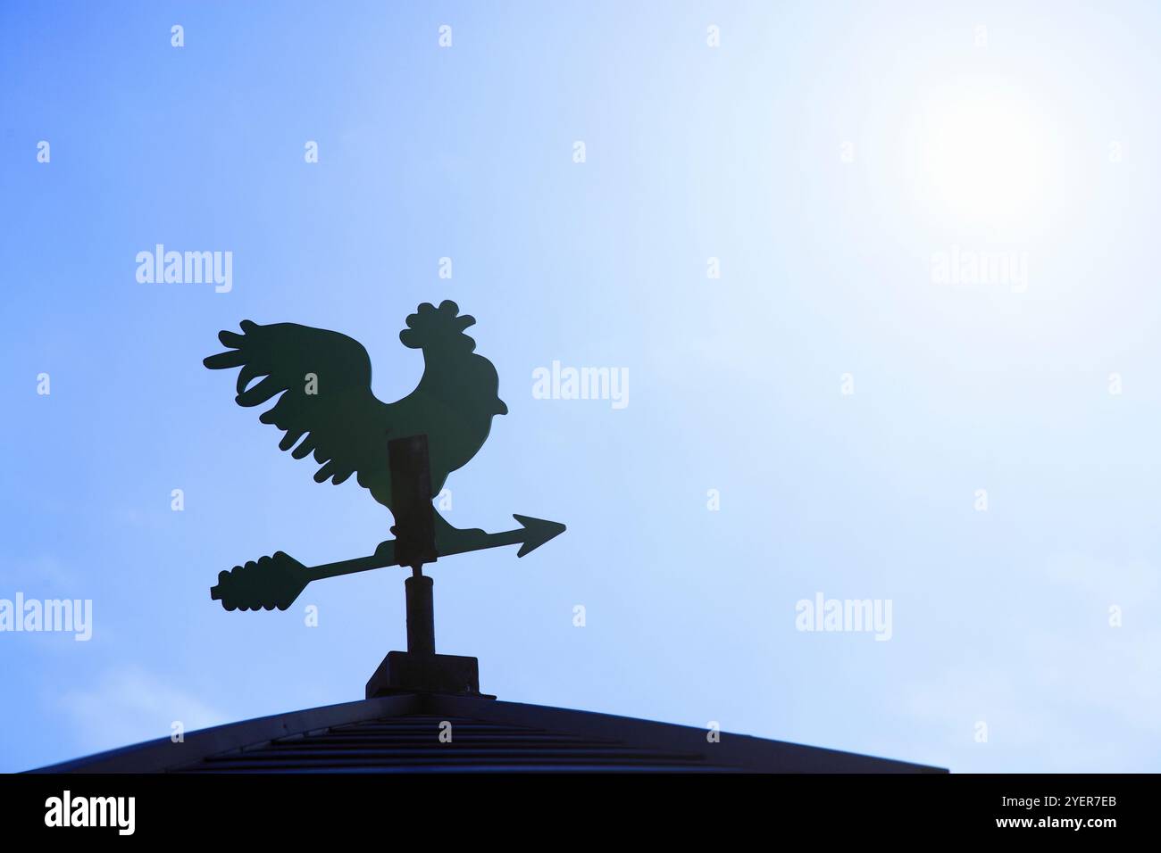 Rooster shadow hi-res stock photography and images - Alamy