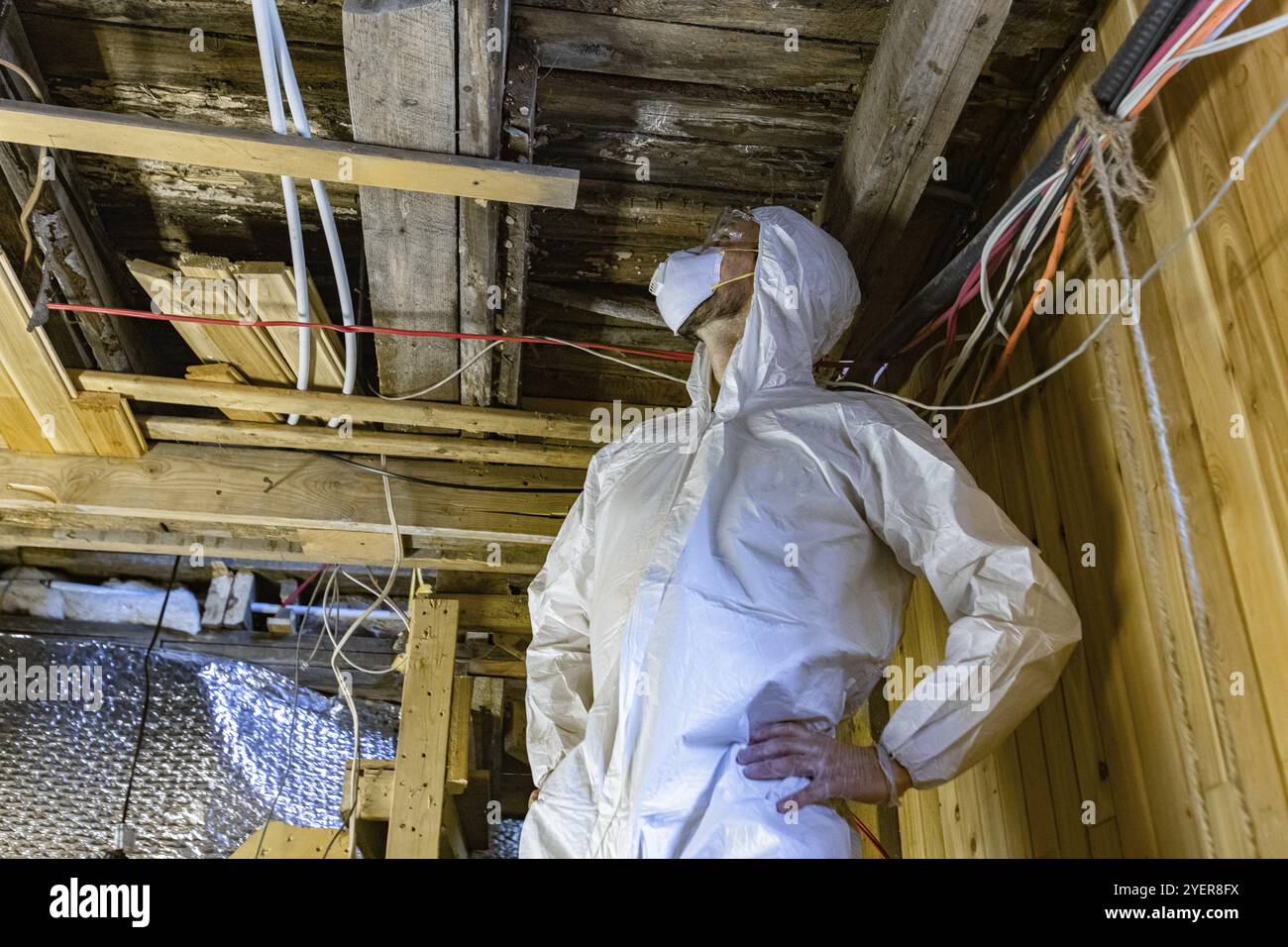 A low angle view of a building inspector standing beneath floor joists ...