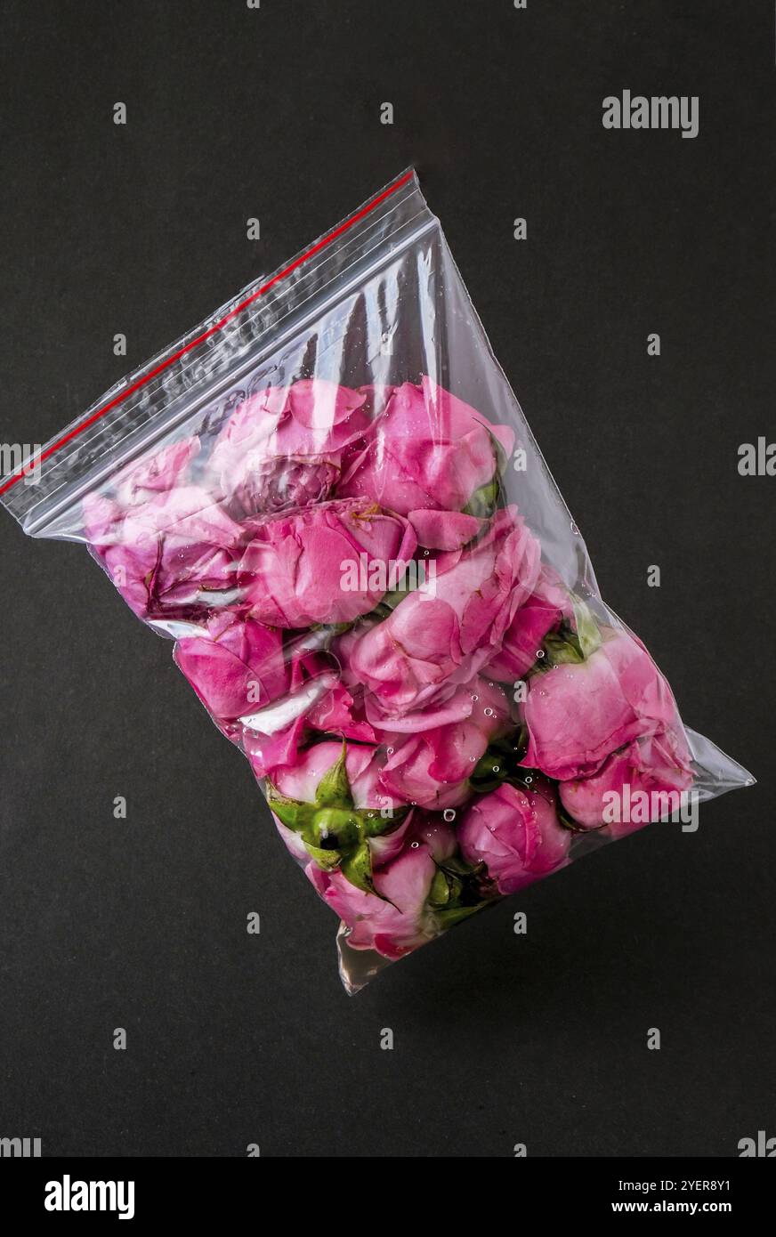 Environmental pollution concept. Flower in a plastic bag. Danger ...