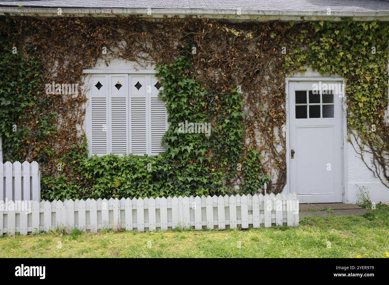 Front door window ivy hi-res stock photography and images - Alamy