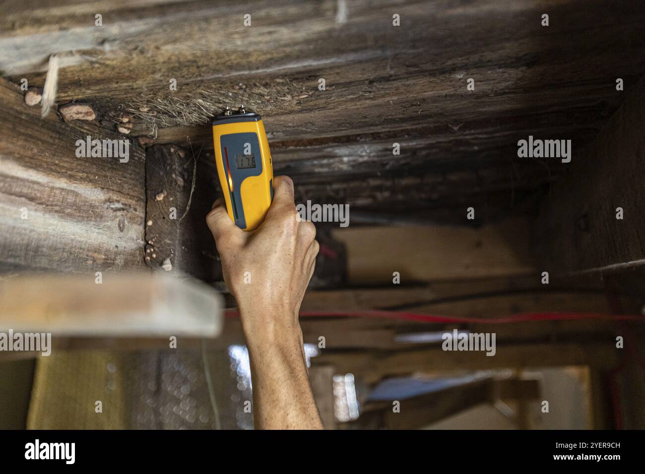 An environmental home inspector is viewed close-up at work, using an ...