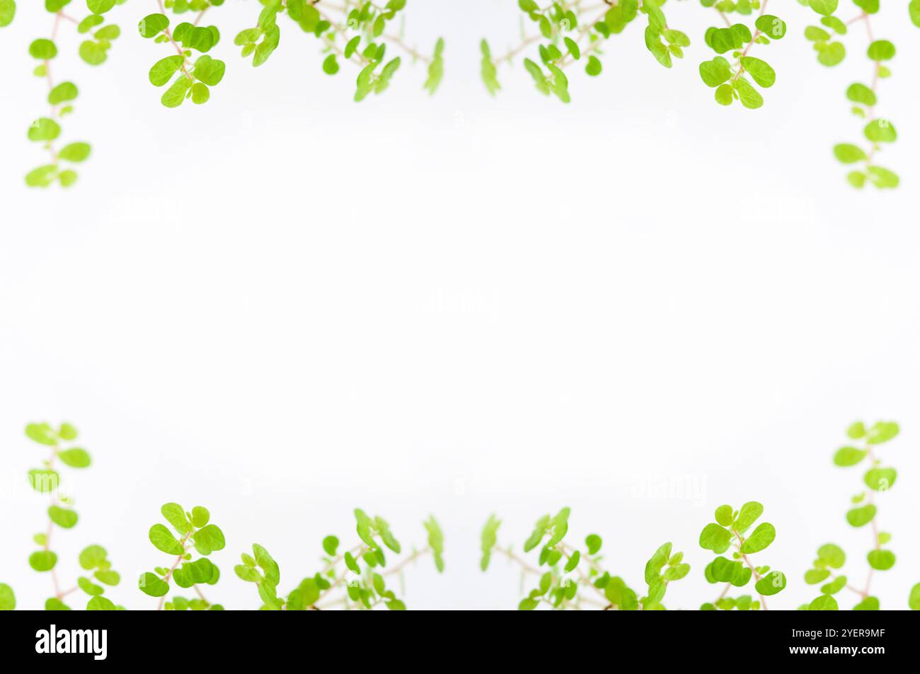 Baby texture hi-res stock photography and images - Alamy