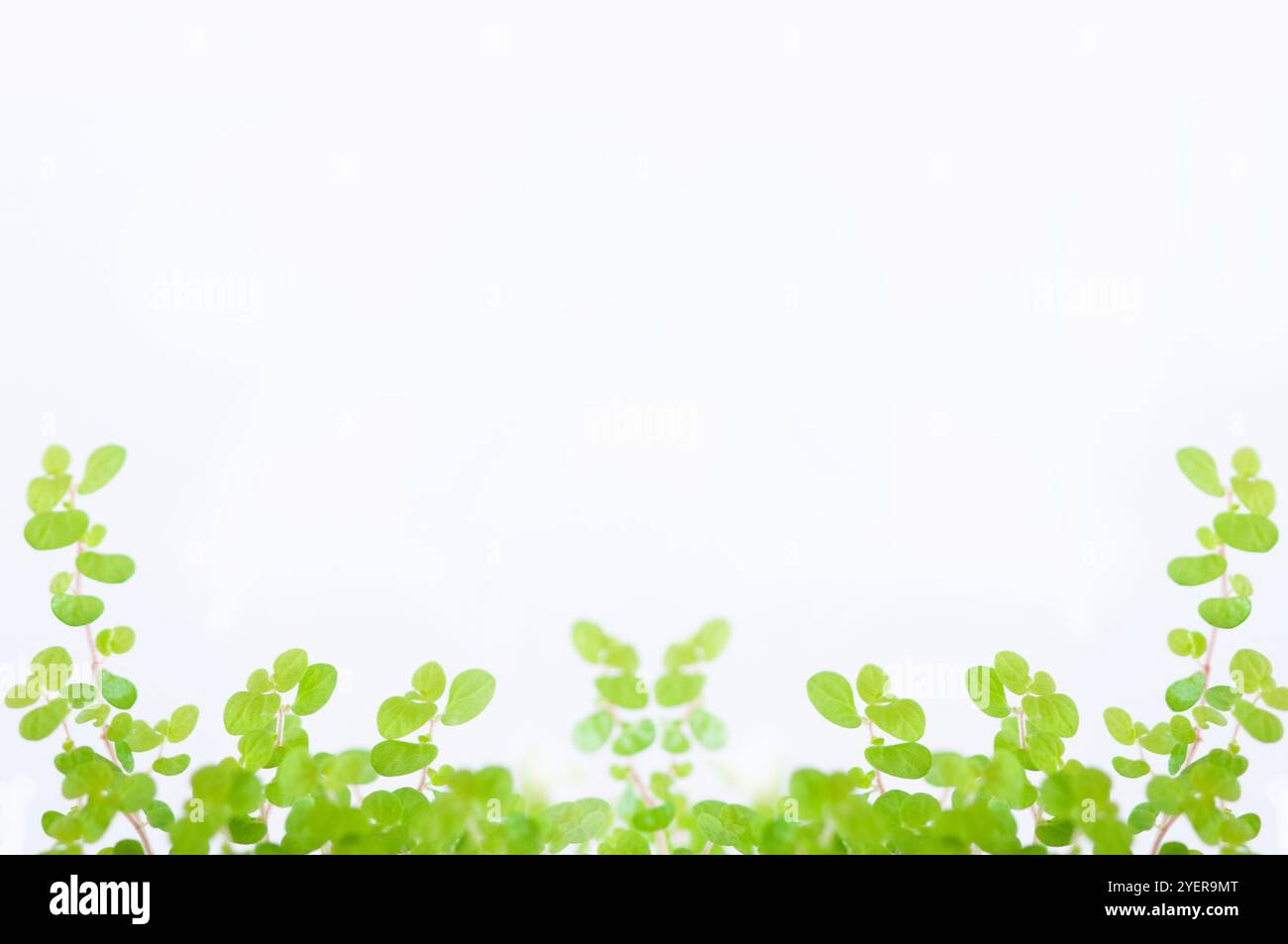 Baby texture hi-res stock photography and images - Alamy