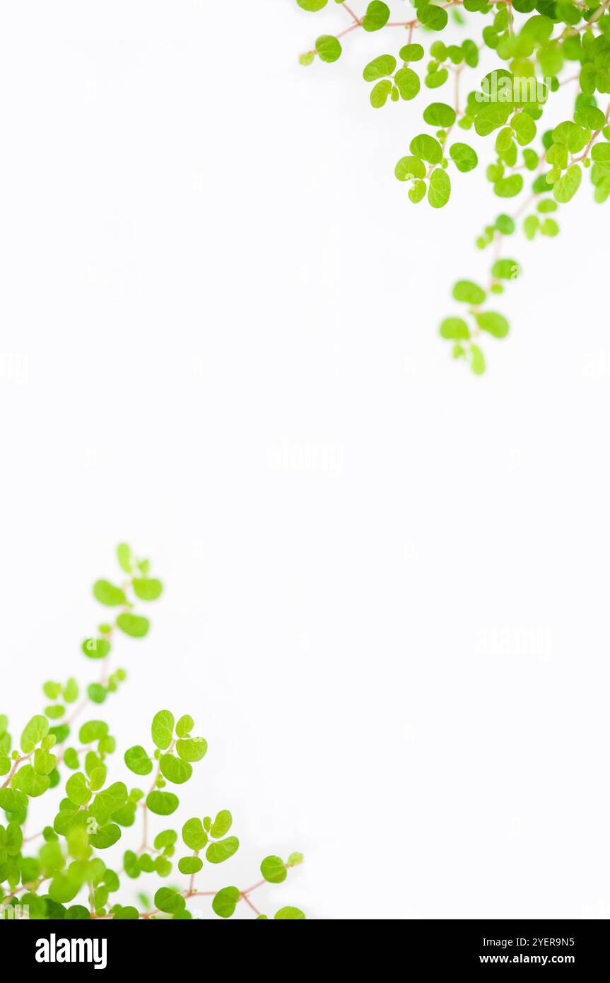 Baby texture hi-res stock photography and images - Alamy