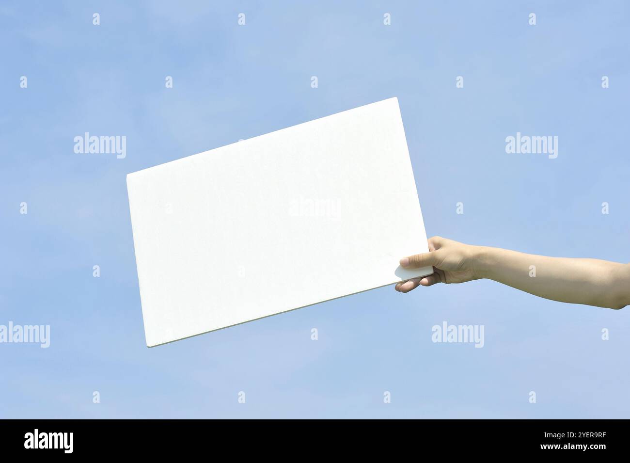 Hand holding whiteboard Stock Photo - Alamy