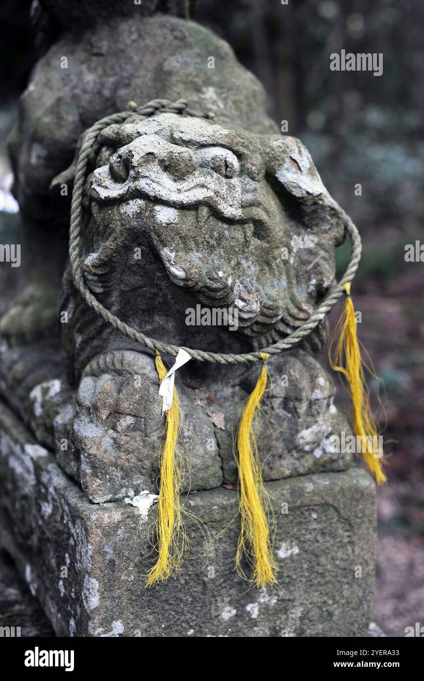 Shinto komainu hi-res stock photography and images - Alamy
