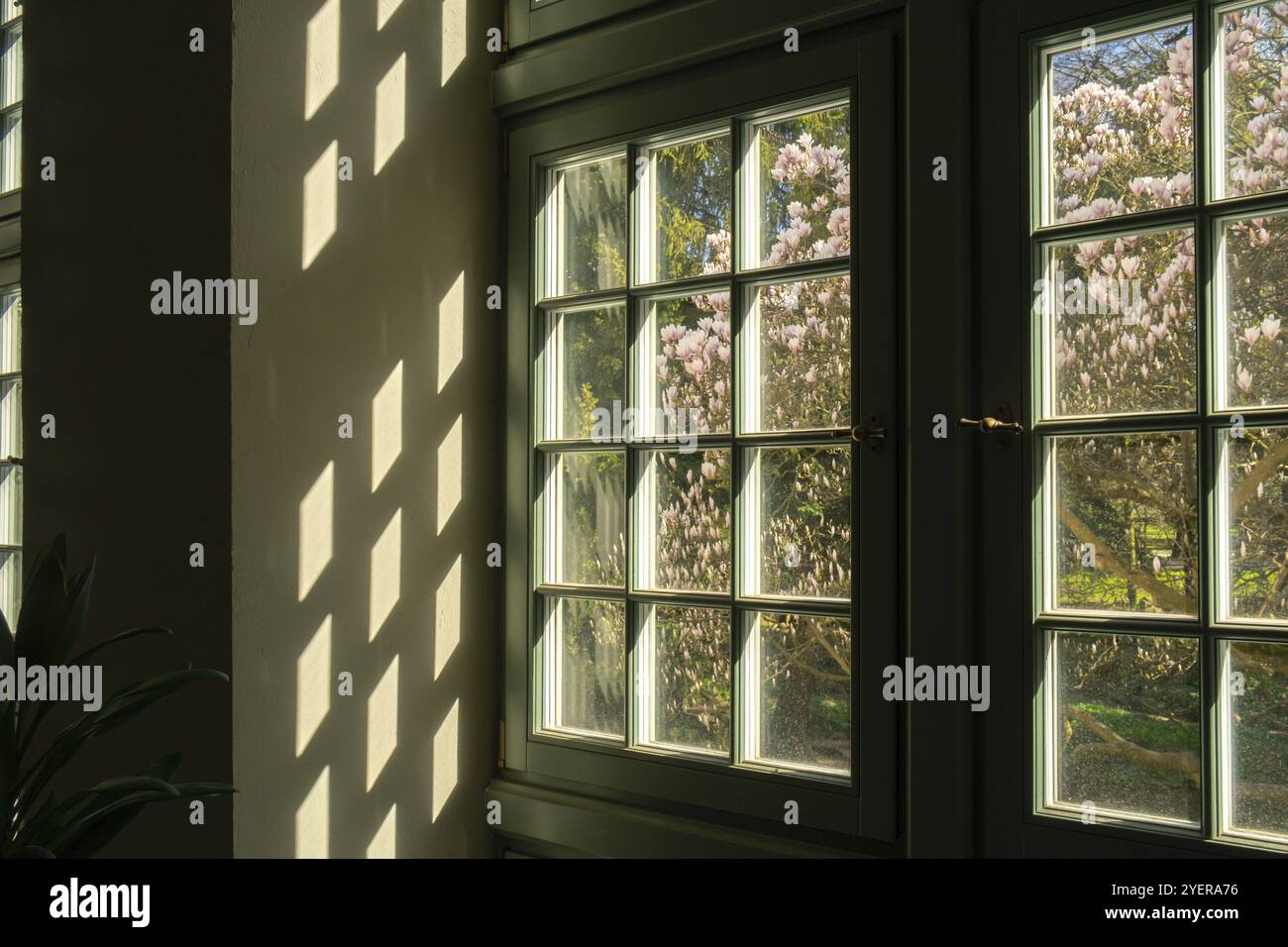 Minimal embellishments hi-res stock photography and images - Alamy