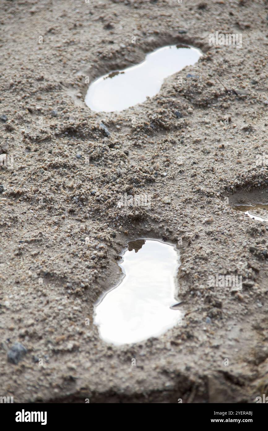 Muddy footprints after the rain Stock Photo - Alamy