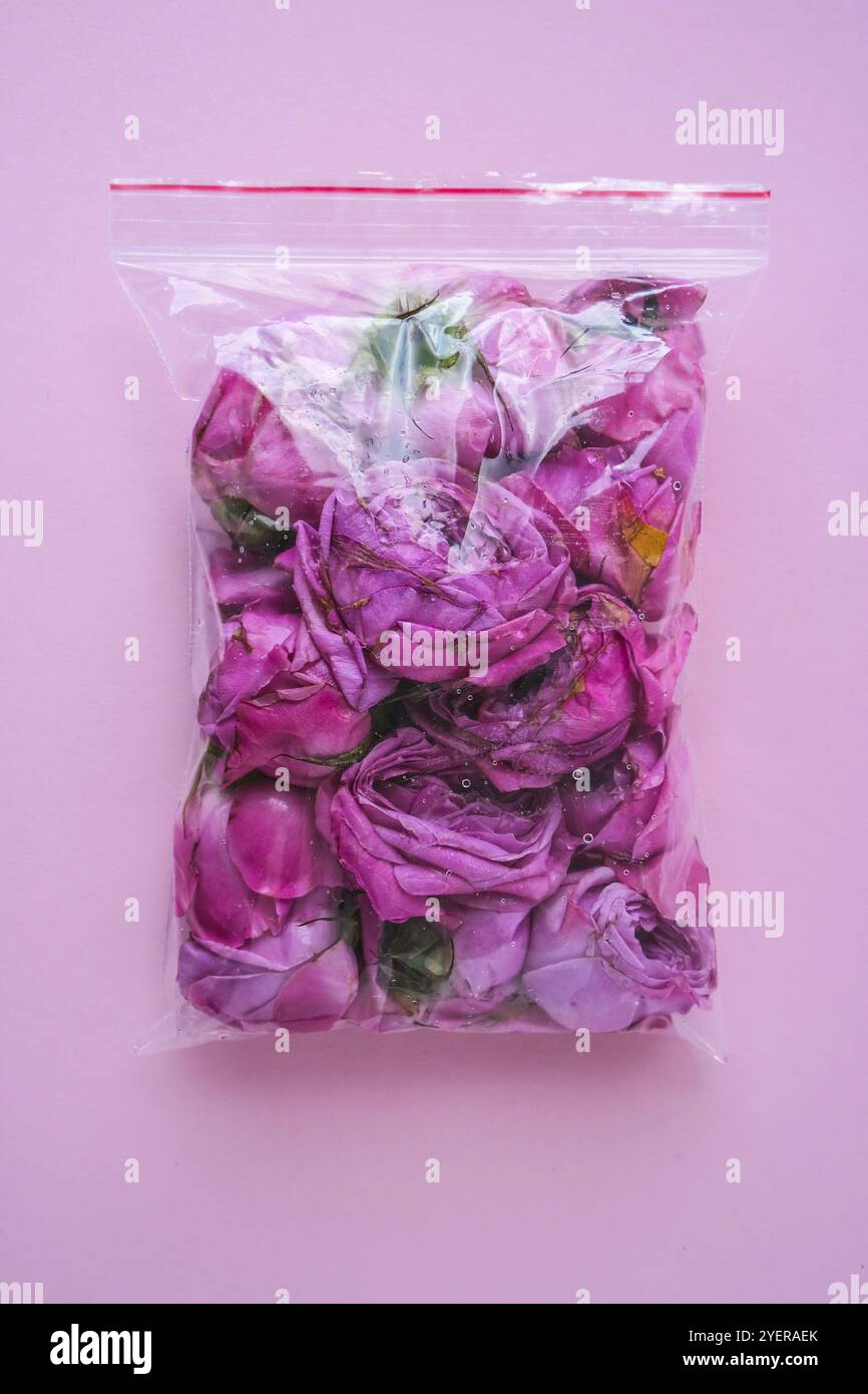 Environmental pollution concept. Flower in a plastic bag. Danger ...