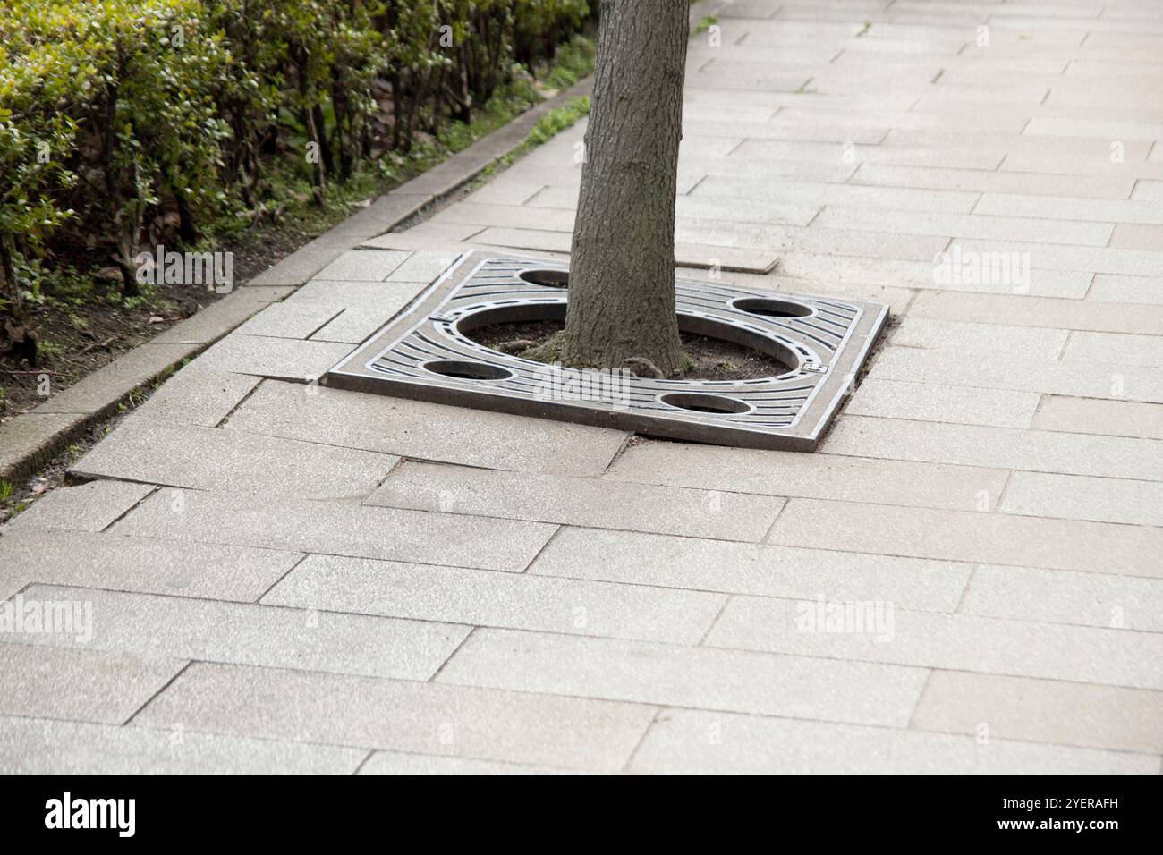 Raised footpath tiles Stock Photo - Alamy