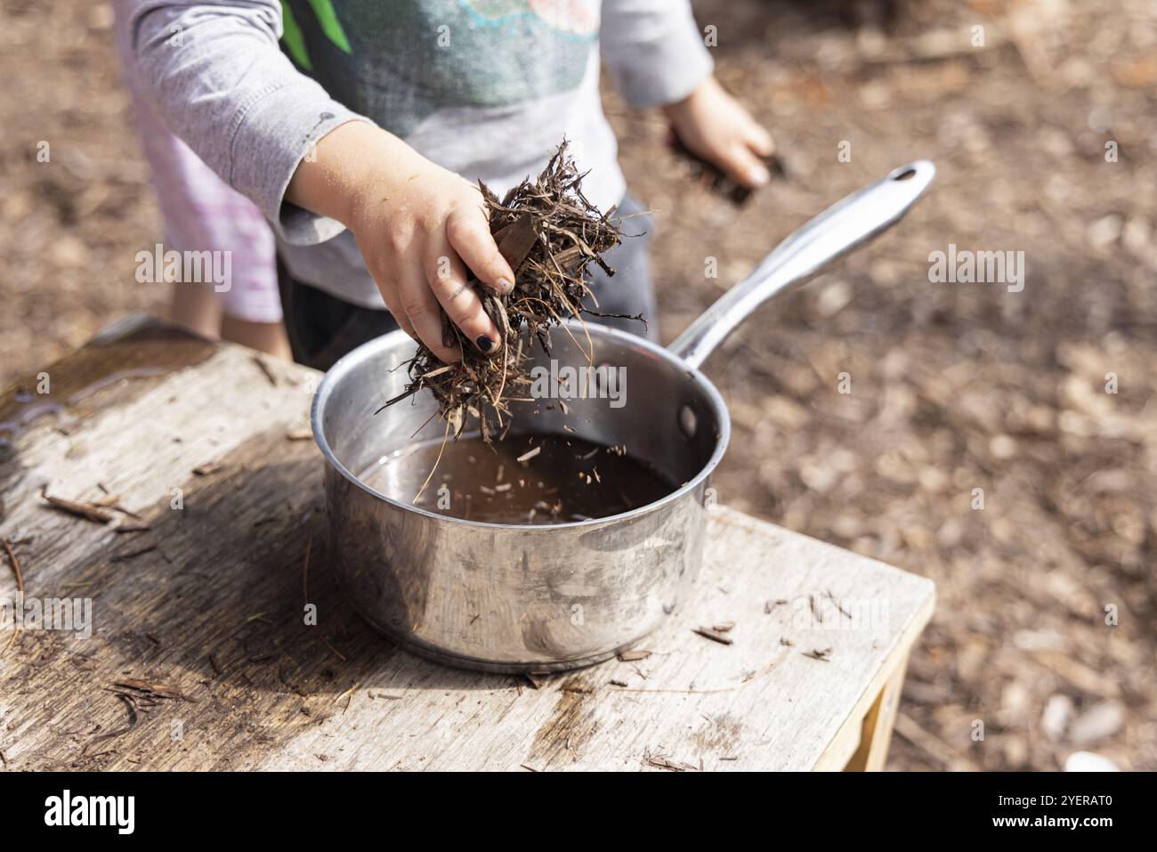 : A zoomed in portrait of child's hands, putting dry leaves and ...