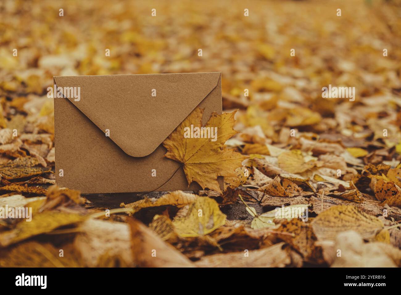 Empty earth tones envelope mock up around Colorful falling autumn ...