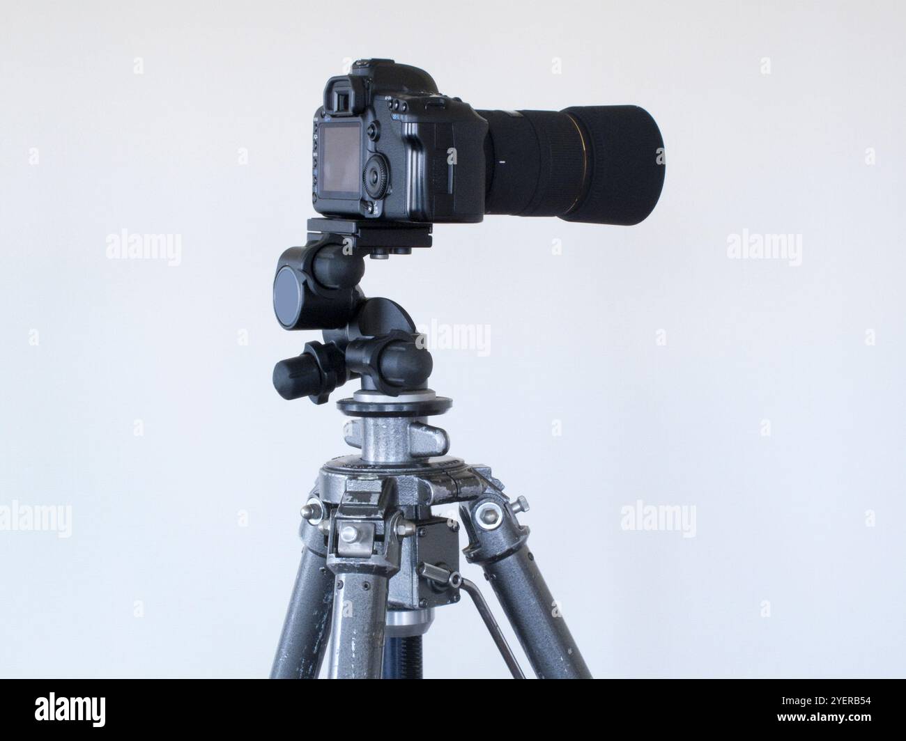 Reflex single hi-res stock photography and images - Alamy