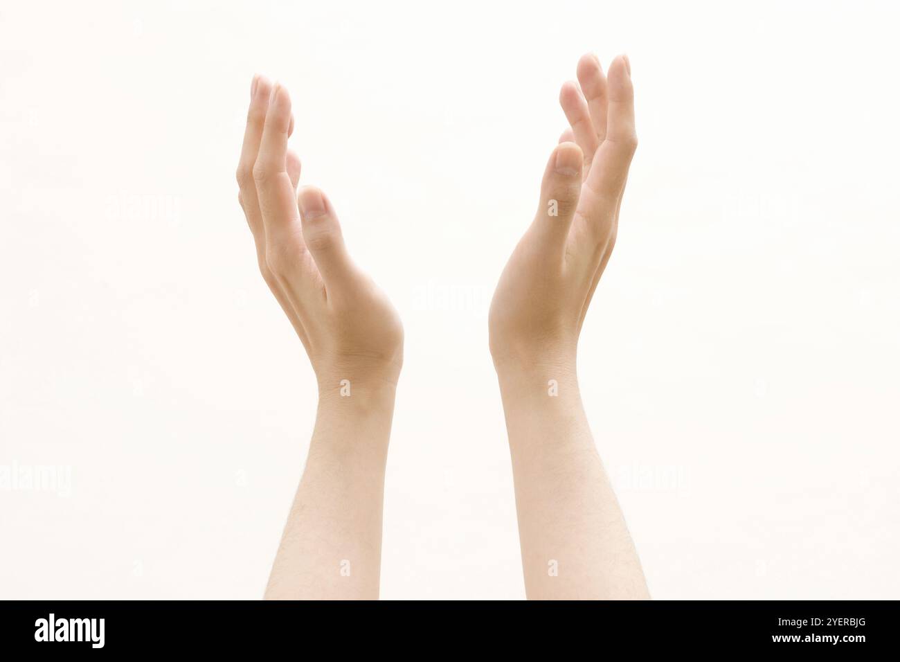 Womans anatomy hi-res stock photography and images - Alamy