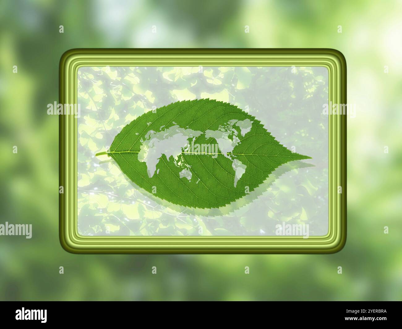 Map of a leaf hi-res stock photography and images - Alamy