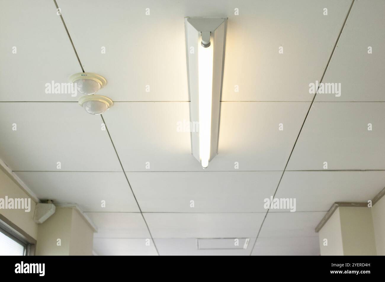 Light of education hi-res stock photography and images - Alamy