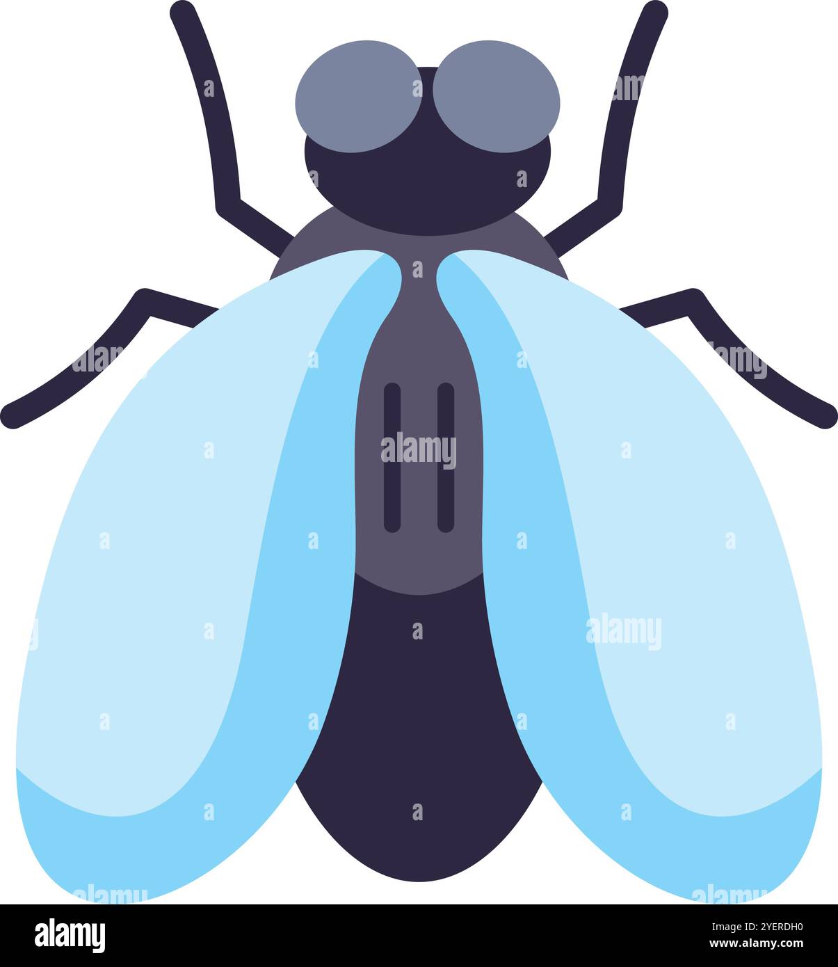 Big bluebottle fly insect spreading germs and diseases Stock Vector ...