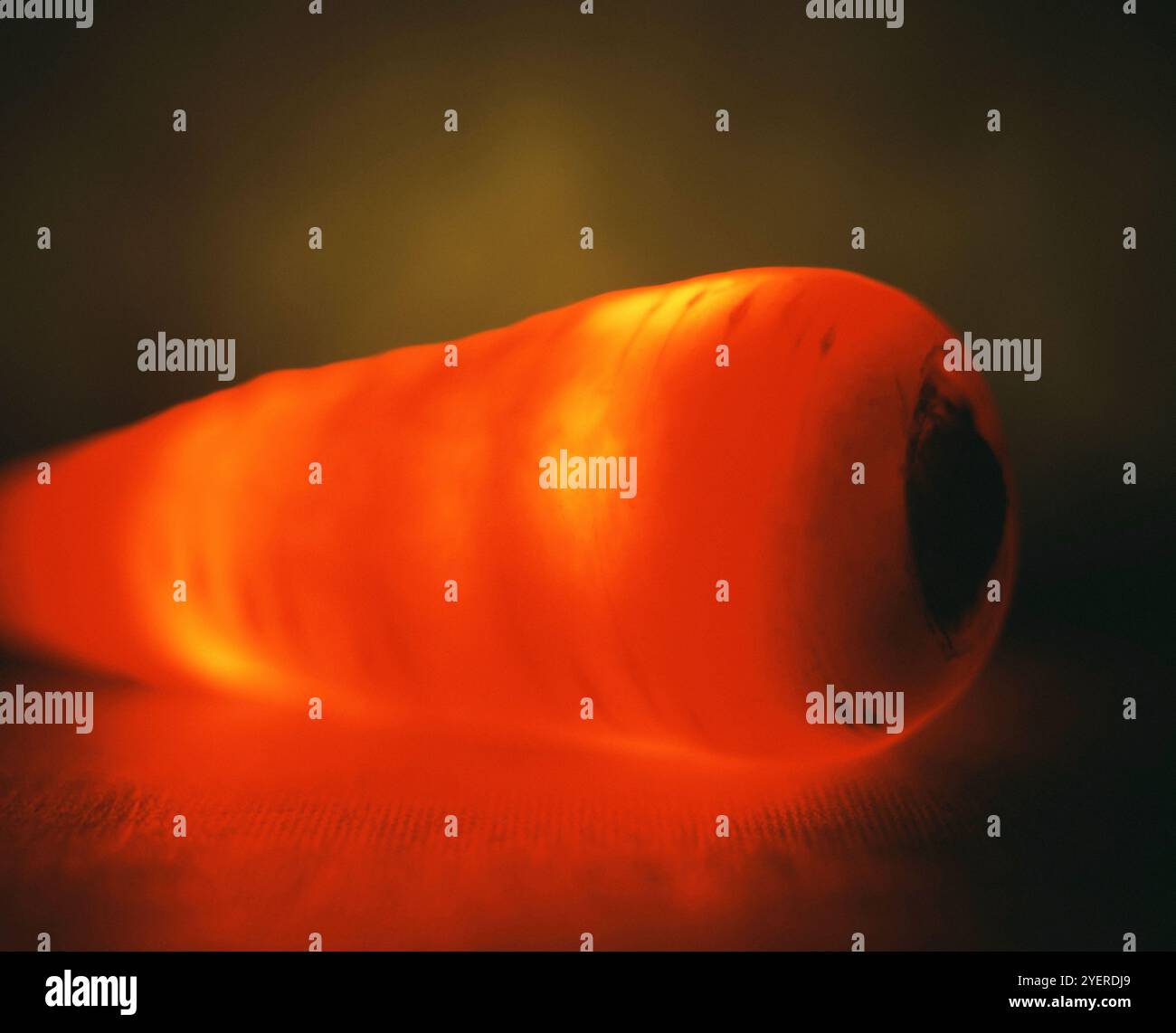 Carrot light hi-res stock photography and images - Alamy
