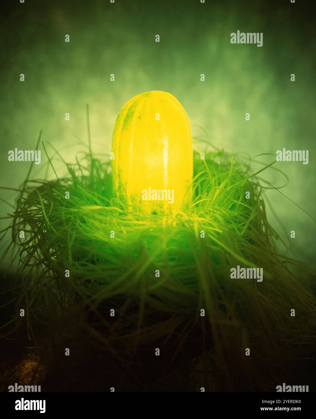 Abstract nest hi-res stock photography and images - Alamy