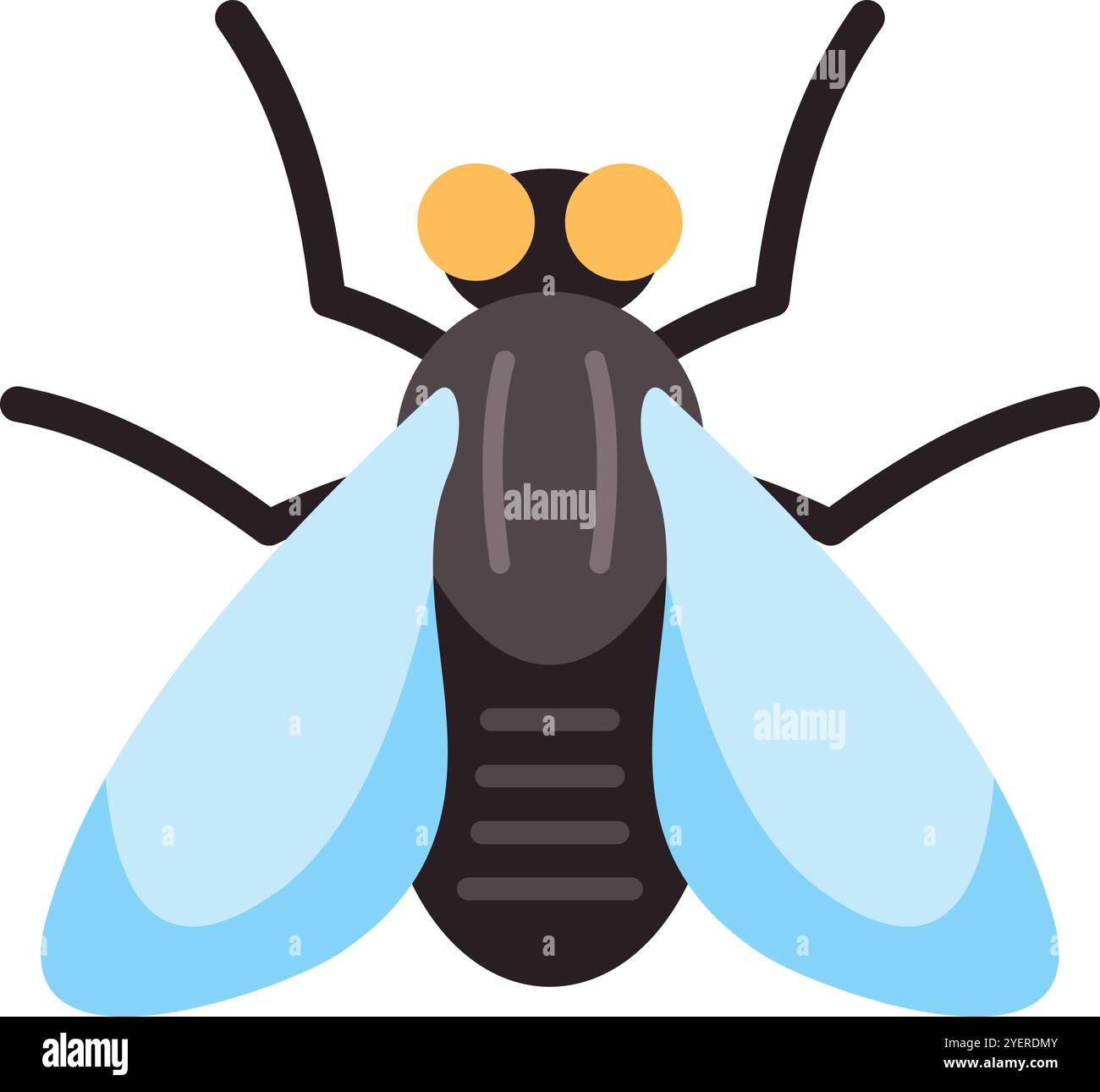 Black fly spreading its wings on white background Stock Vector Image ...