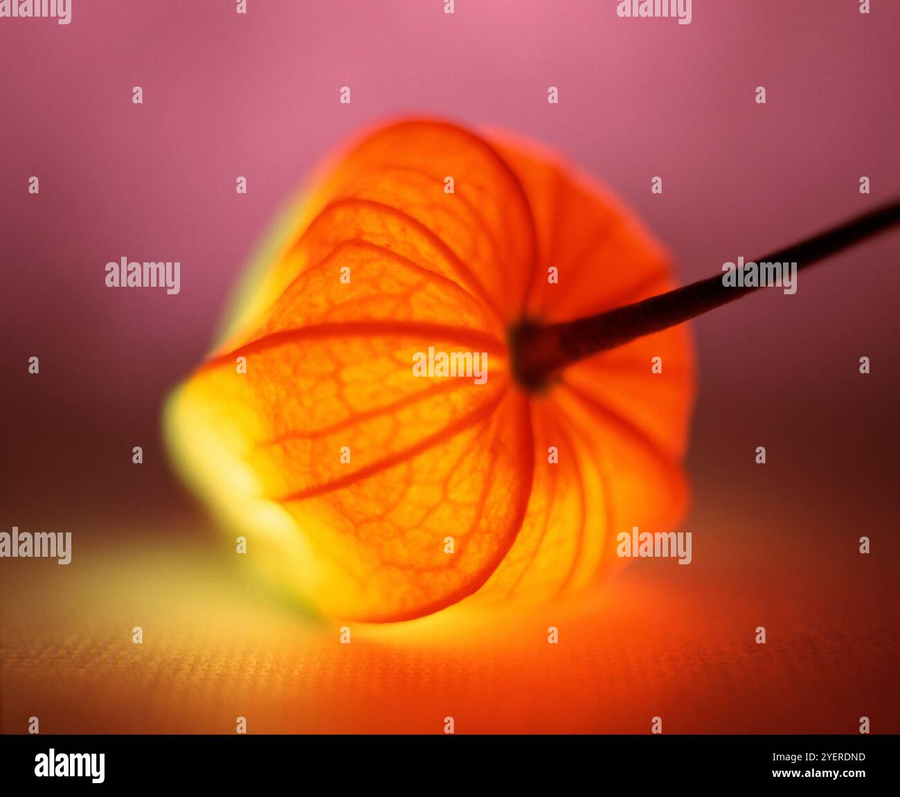 Cherry light abstract hi-res stock photography and images - Alamy