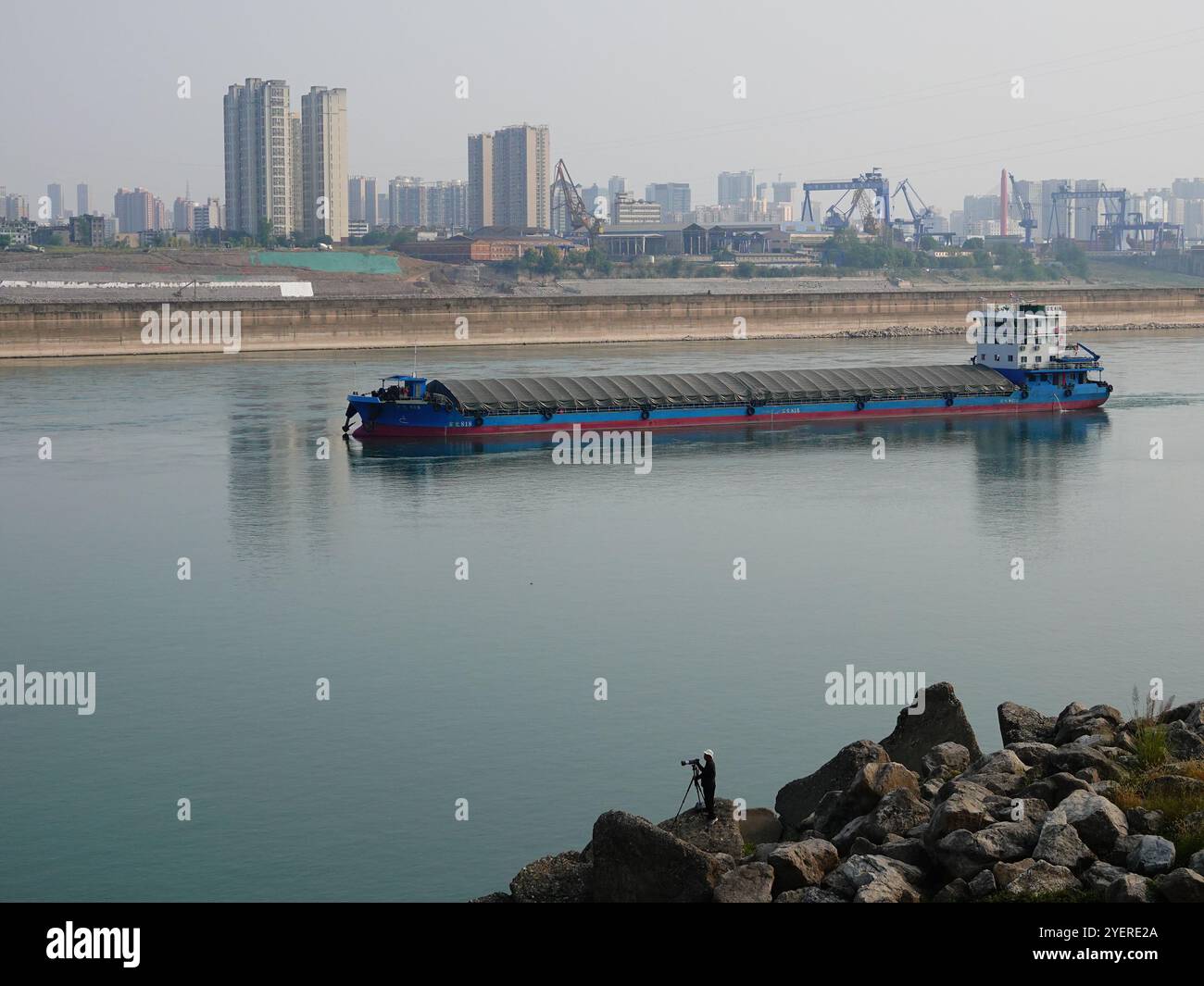 YICHANG, CHINA - NOVEMBER 1, 2024 - A Yangtze finless porpoise plays in ...