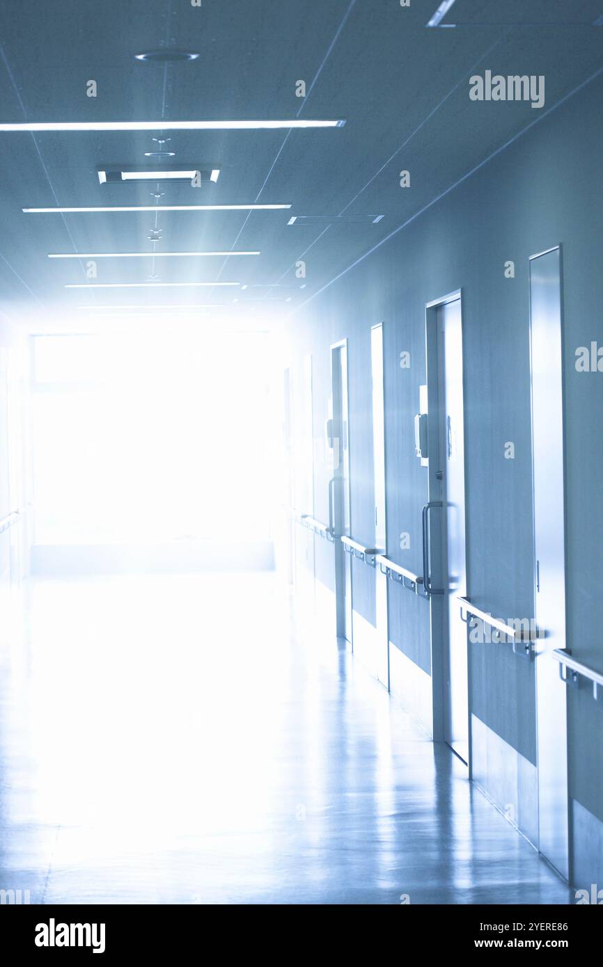 Corridor management hi-res stock photography and images - Alamy