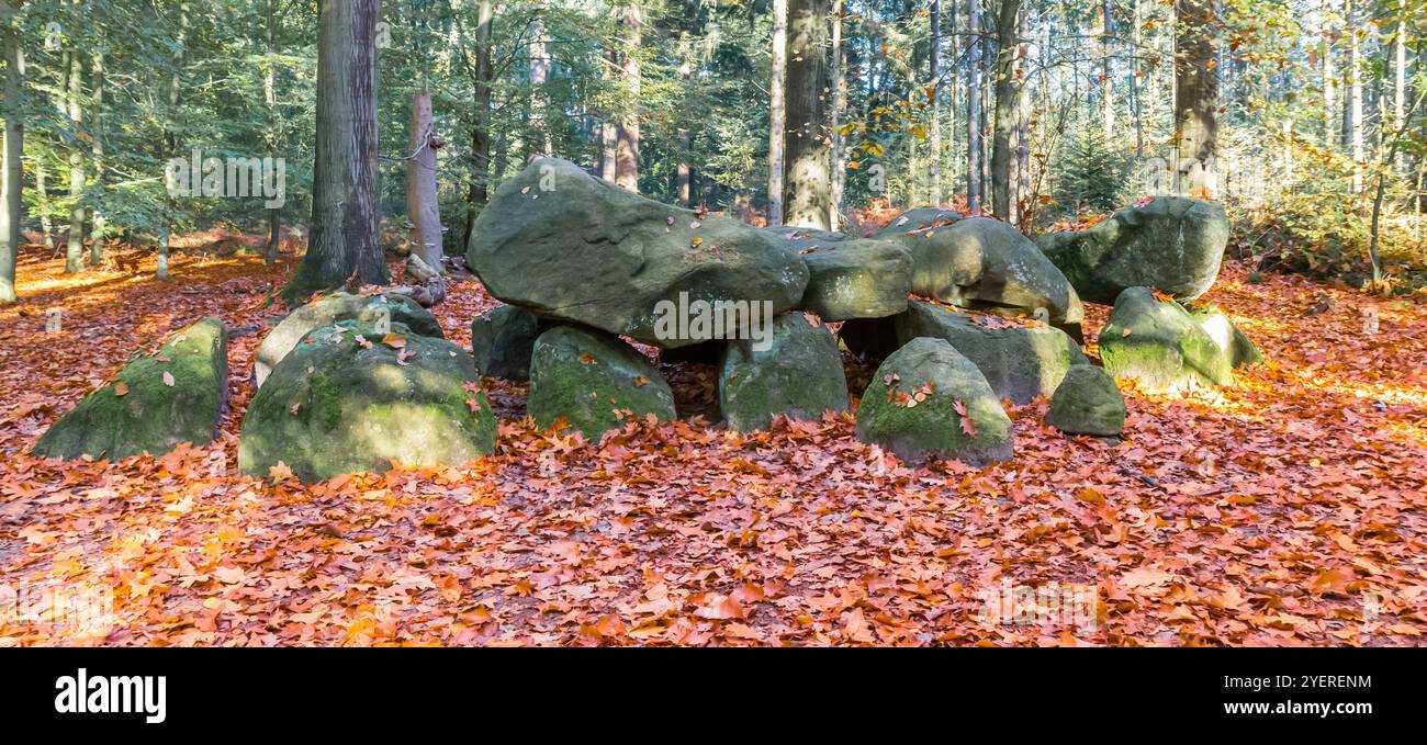 Panorama of a typical dutch prehistoric burial ground formed by large ...