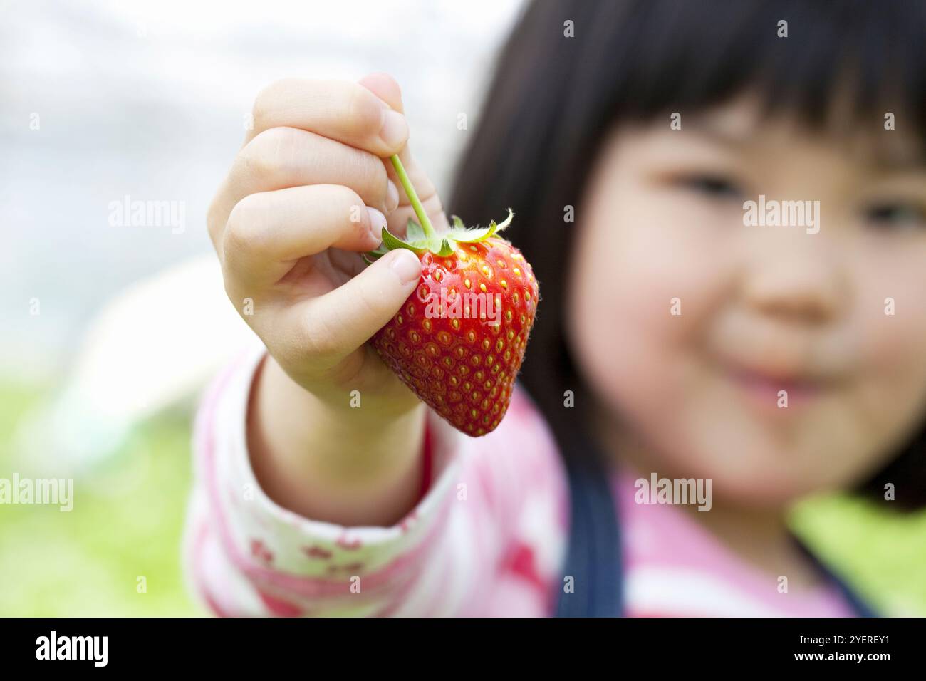 Child holding strawberry in hand Stock Photo - Alamy