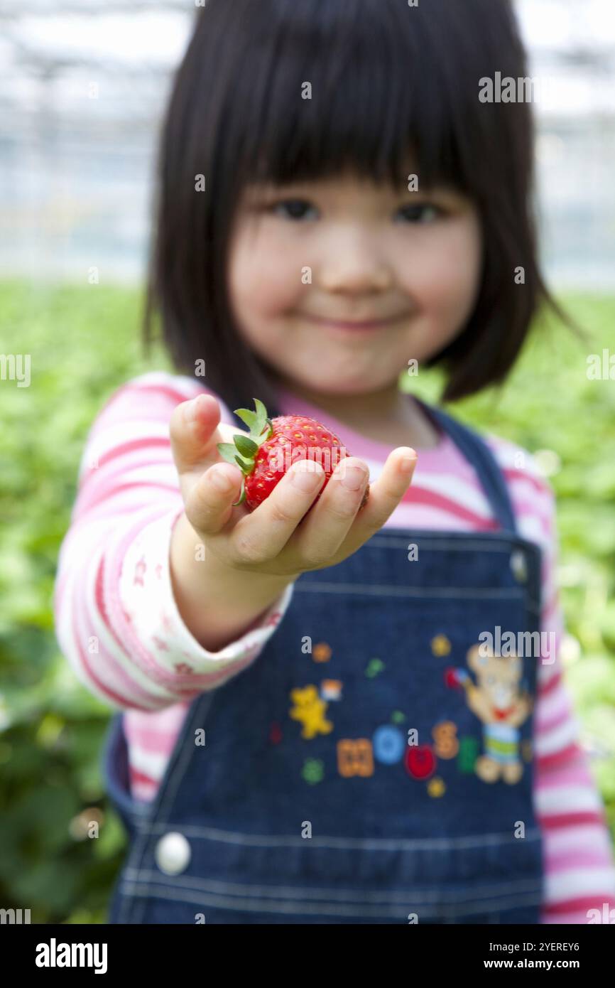 Holding strawberry hi-res stock photography and images - Alamy