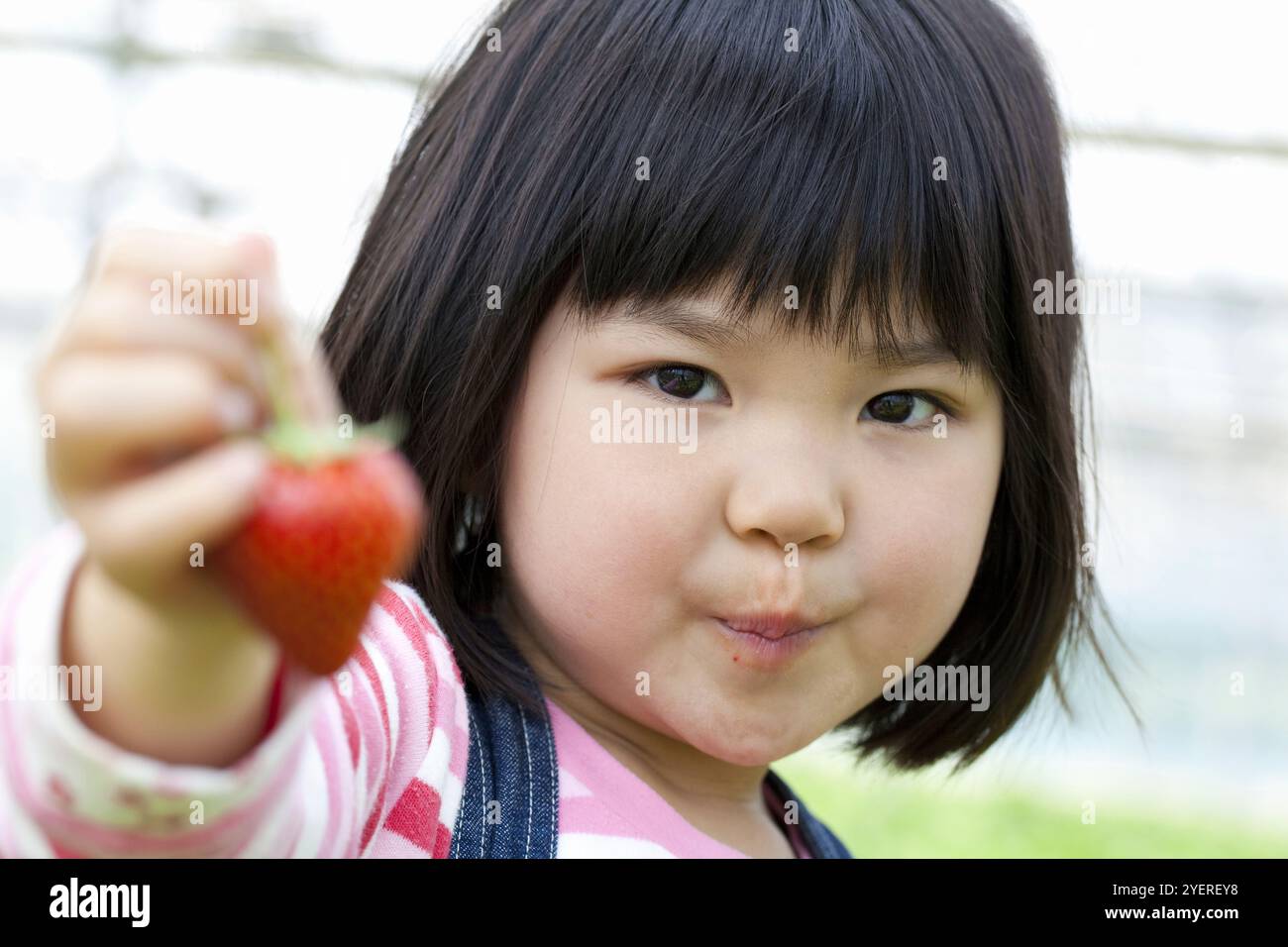 Child hold in hand hi-res stock photography and images - Alamy