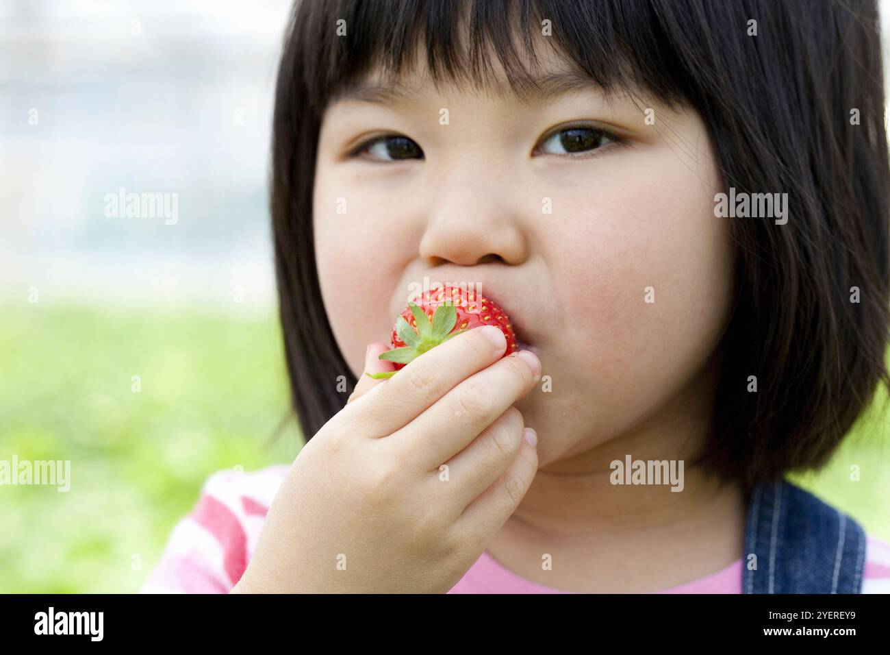 Girl eating strawberries Stock Photo - Alamy
