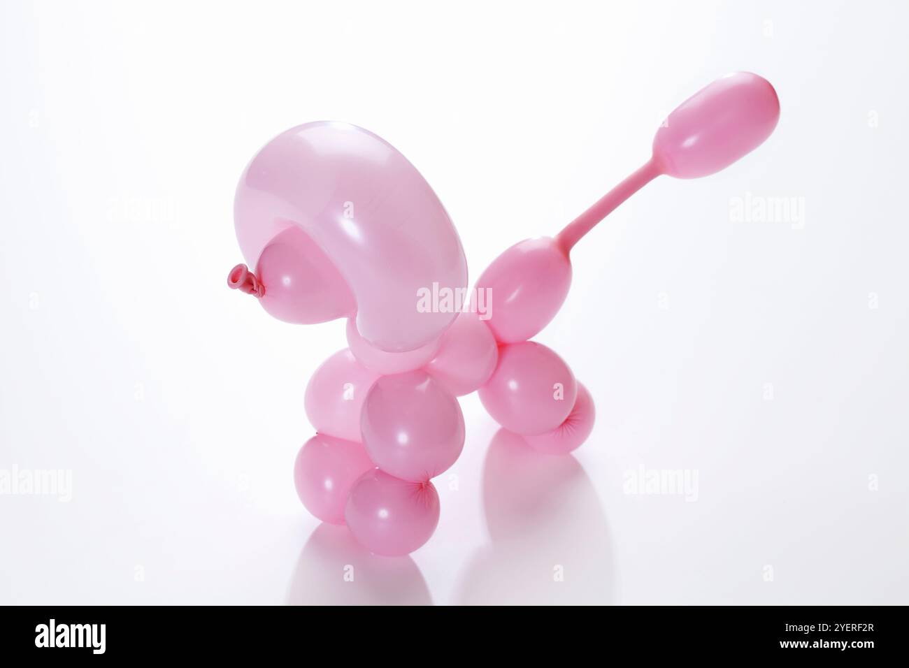 Balloon poodle hi-res stock photography and images - Alamy