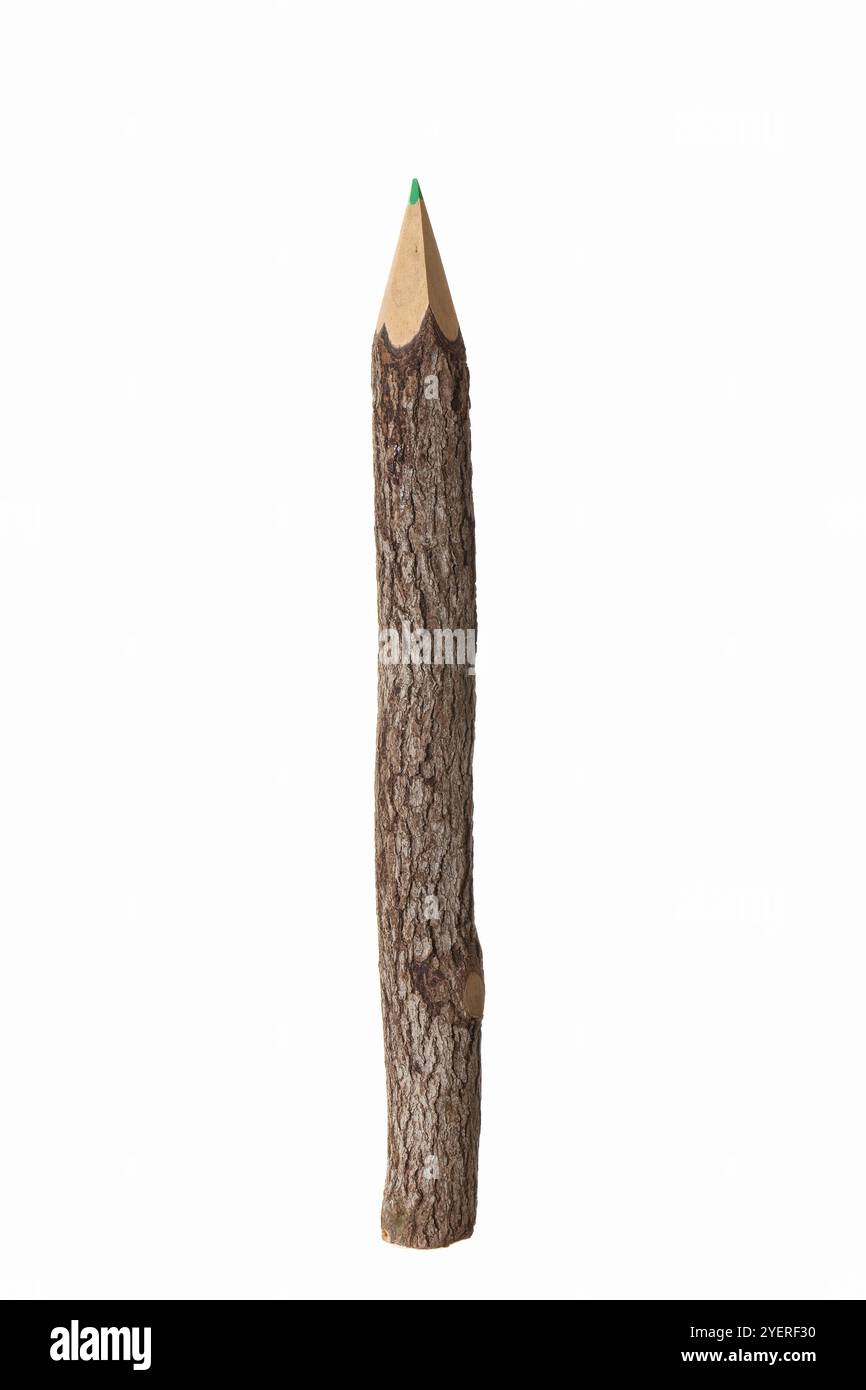 Timber coloured Cut Out Stock Images & Pictures - Alamy