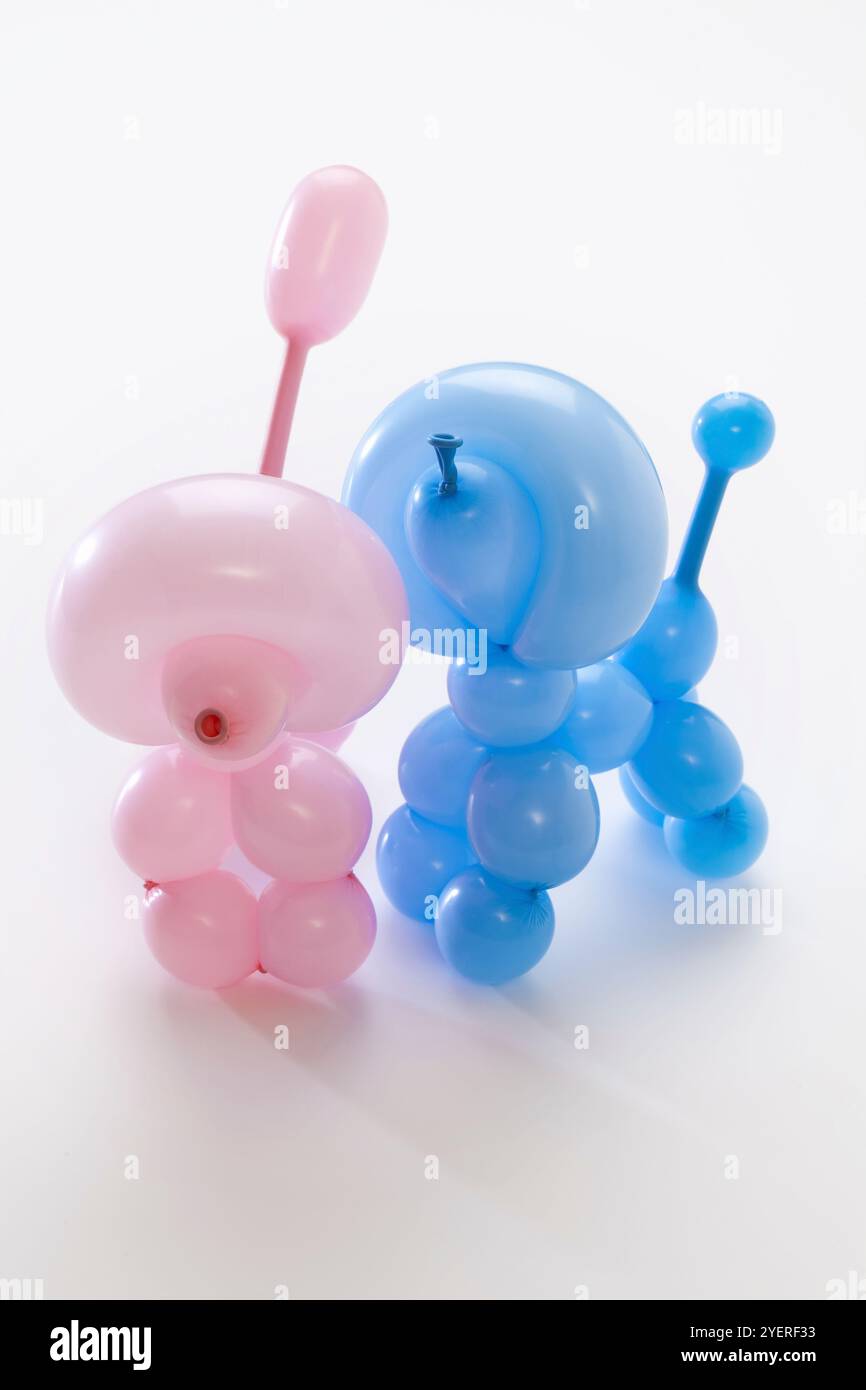 Balloon poodle hi-res stock photography and images - Alamy